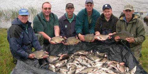 Coarse Angling Guide | Melview Lodge